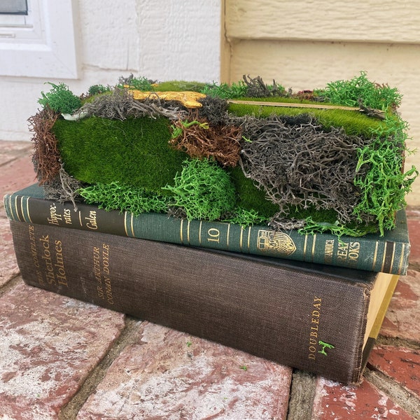 Moss Covered - Etsy