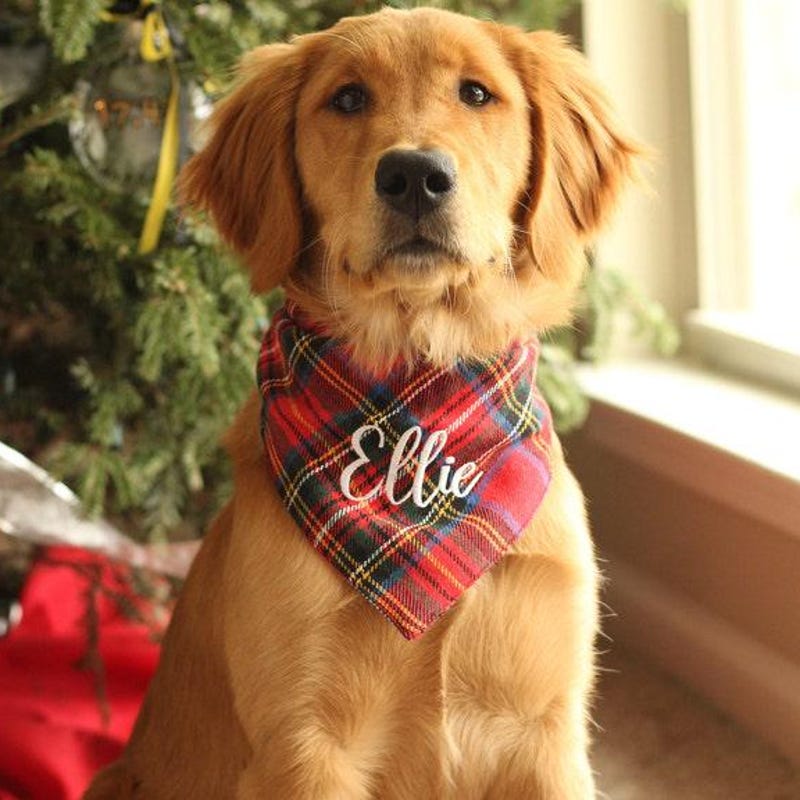 Christmas Small Dog Scarf - Etsy