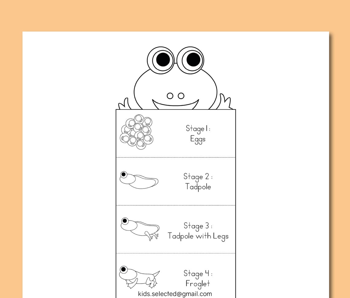 Frog Life Cycle Folding Worksheets Craft Science Unit Coloring Activity ...