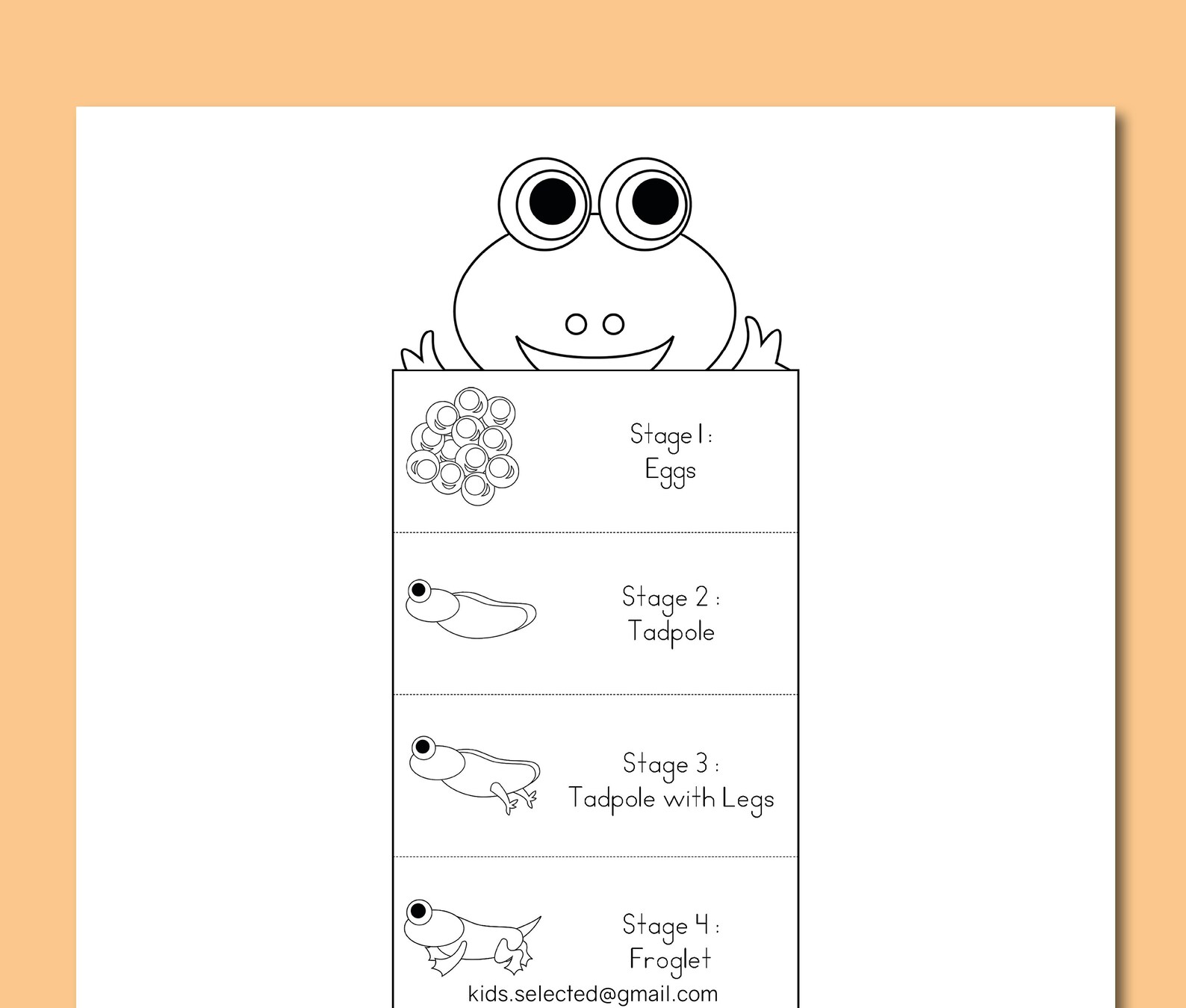 Frog Life Cycle Folding Worksheets Craft Science Unit Coloring Activity ...