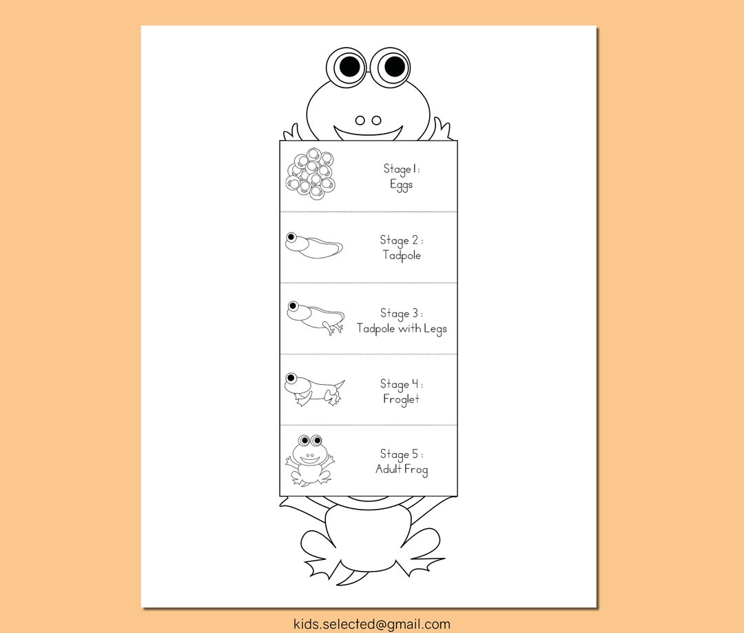 Frog Life Cycle Folding Worksheets Craft Science Unit Coloring Activity ...