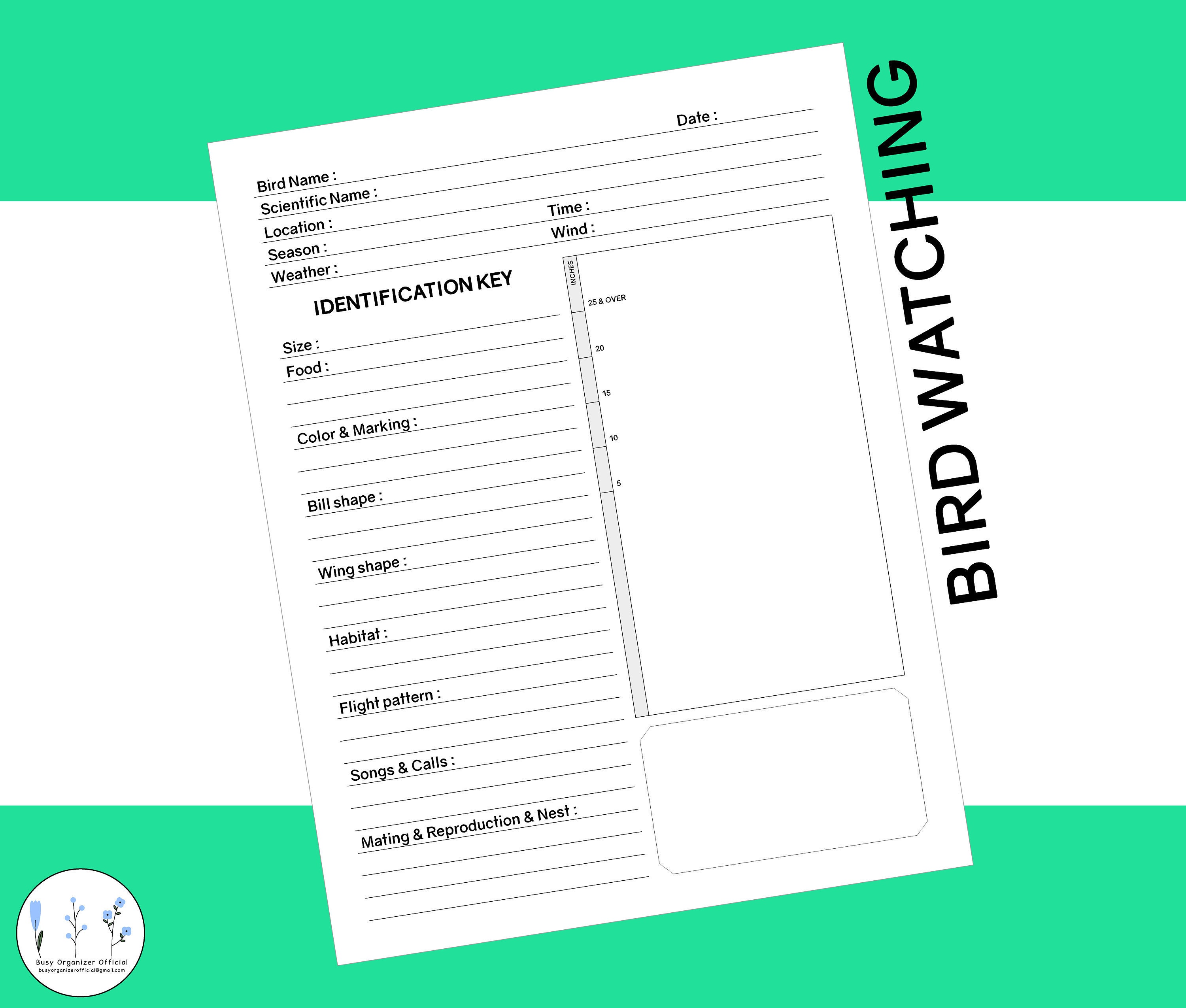 Bird Watching Log for Kids Printable Pdf Digital Instant - Etsy