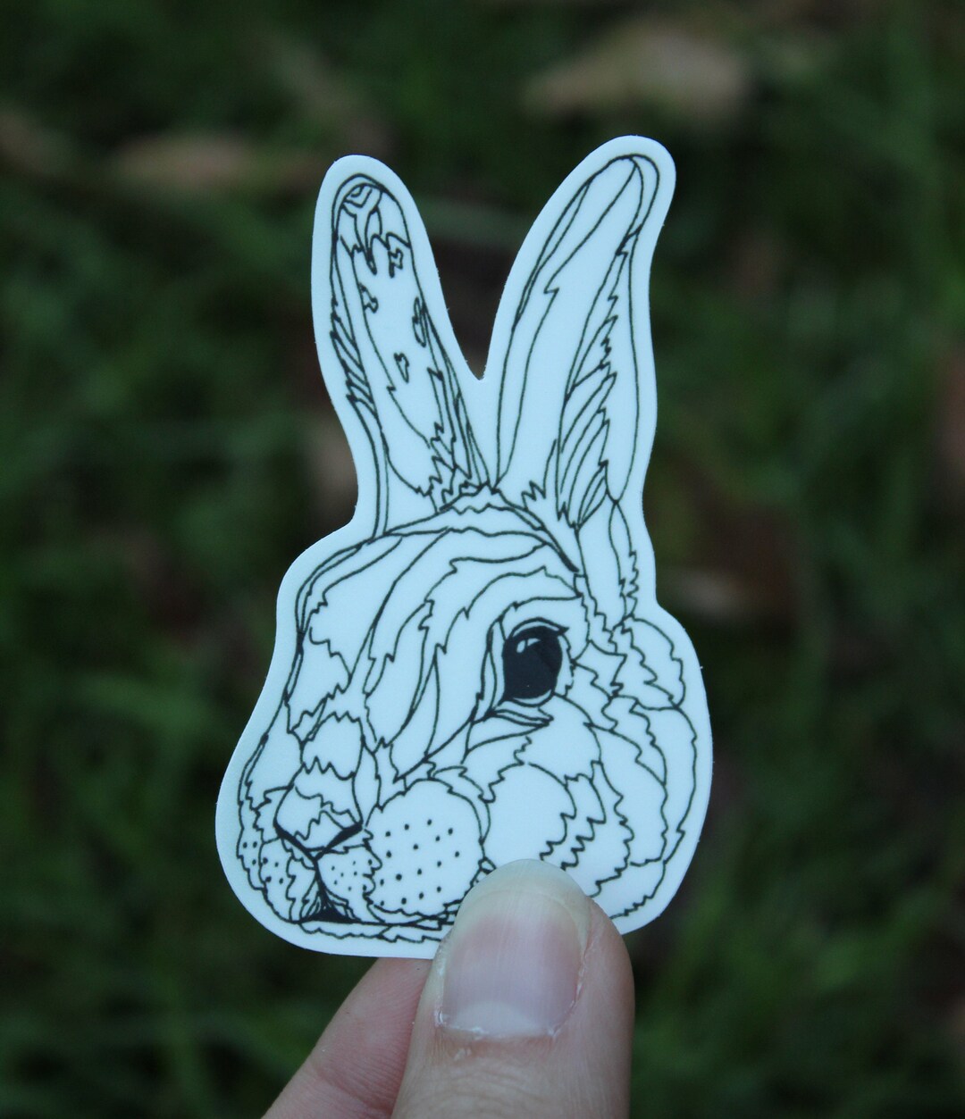 Rabbit Line Art 2x3 Sticker - Etsy