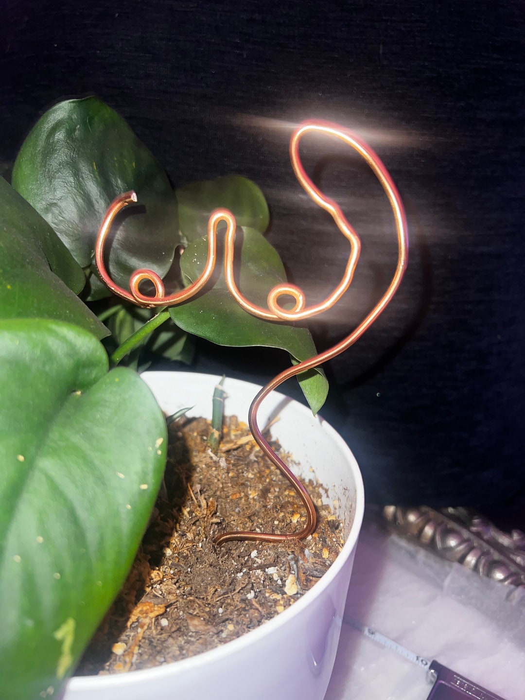 Boobie Houseplant Trellis! Copper Stake for Trailing House Plants! - Etsy