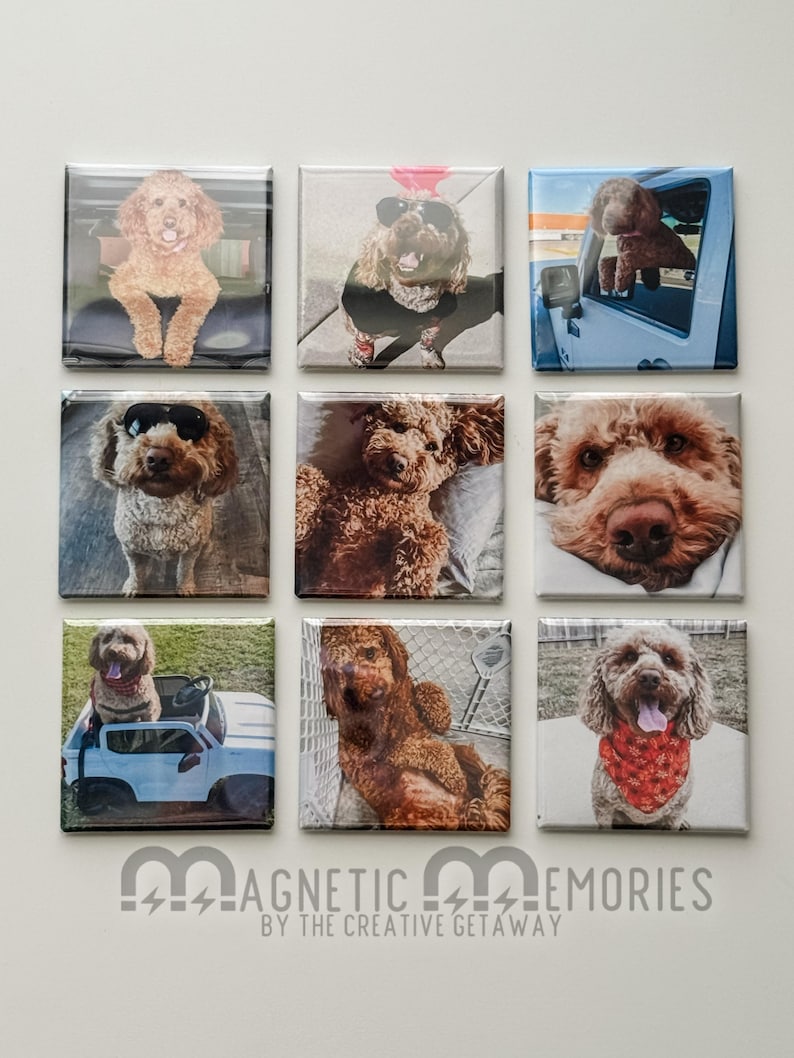 2x2 Custom Photo Magnets | Refrigerator Magnets | Personalized Gift ...