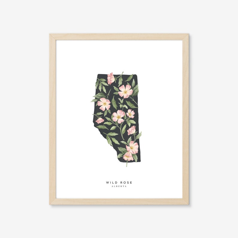 Alberta Wild Rose: Art Print Canada Province City Art - Etsy