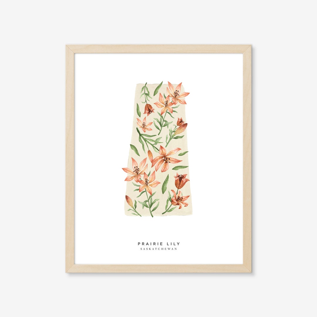 Saskatchewan Prairie Lily | Art Print, Canada, Province, City Art ...