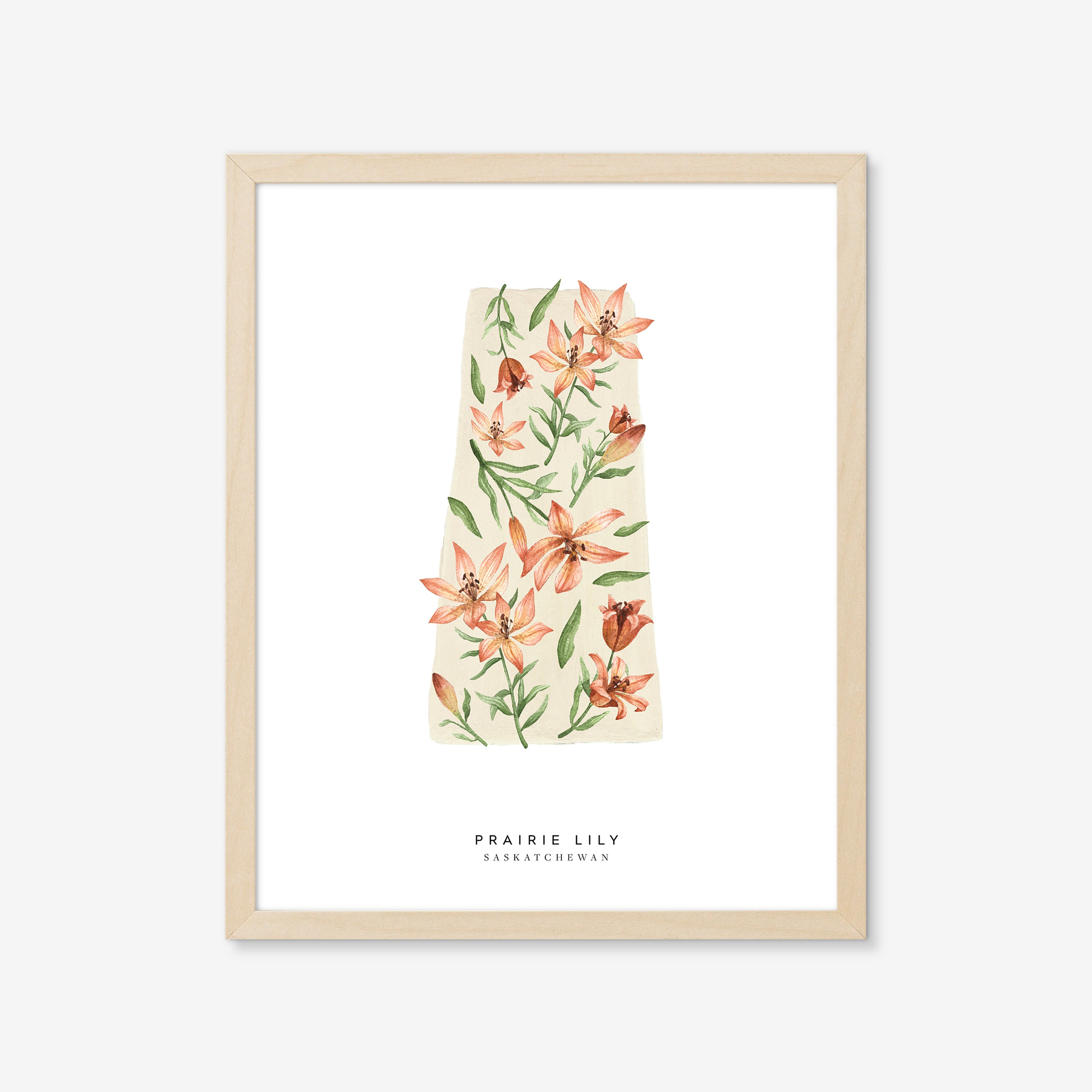 Saskatchewan Prairie Lily Art Print Canada Province City - Etsy