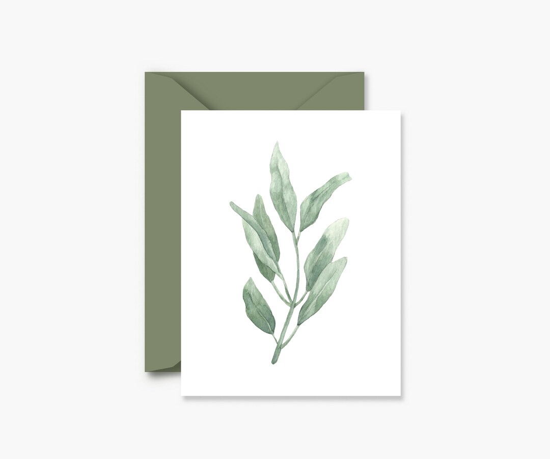 Sage Herb Greeting Card | Blank Card - Etsy