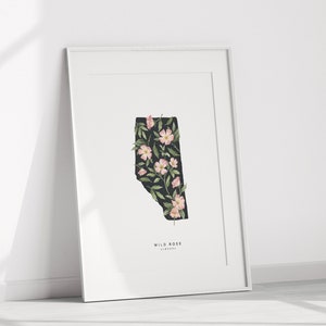 Alberta Wild Rose: Art Print, Canada, Province, City Art, Provincial ...