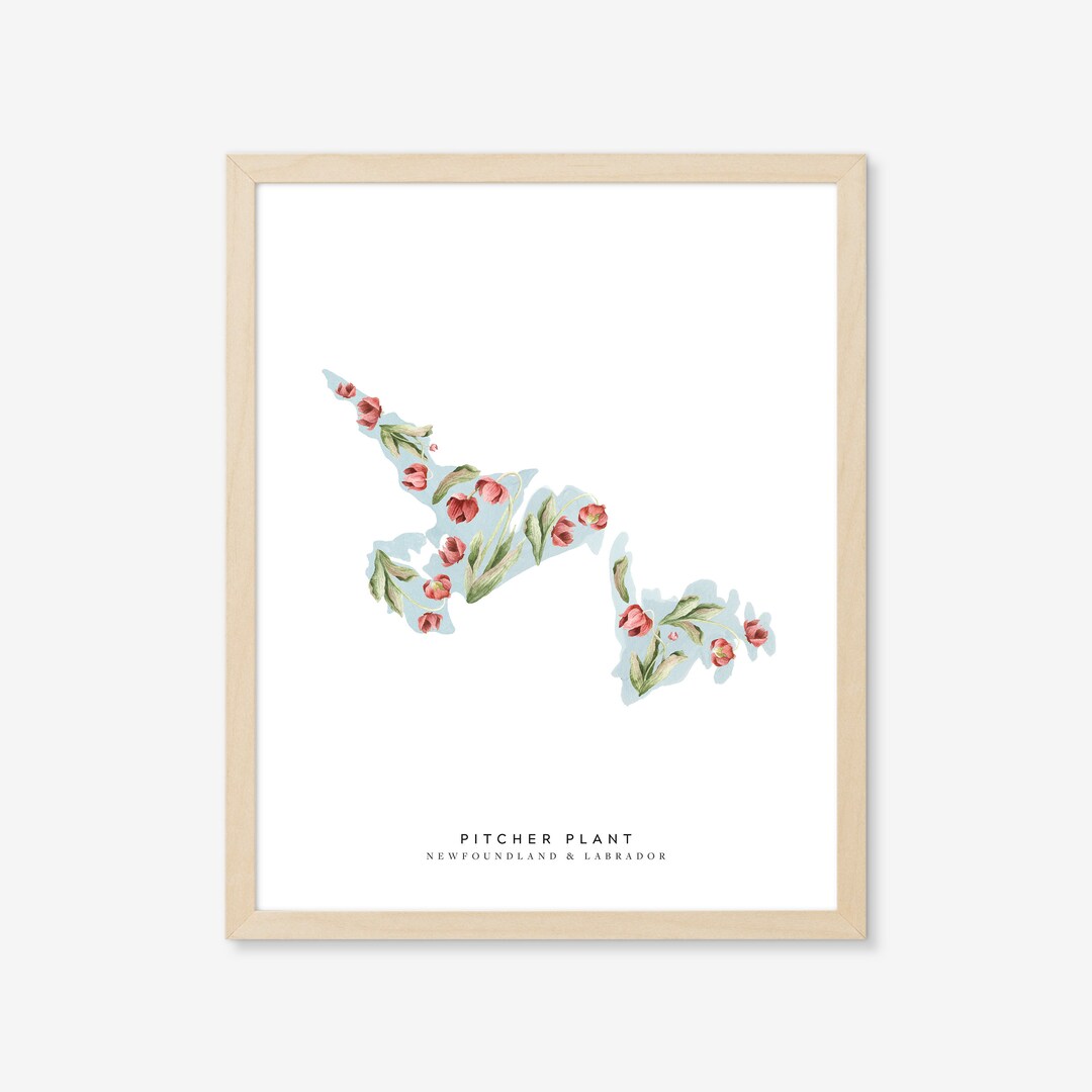 Pitcher Plant Art Print | Newfoundland & Labrador Flower Map - Etsy