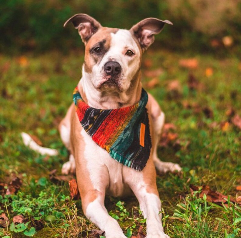 Navajo Dog Bandana Aztec Red & Black Bohemian Woven Tribal - Etsy