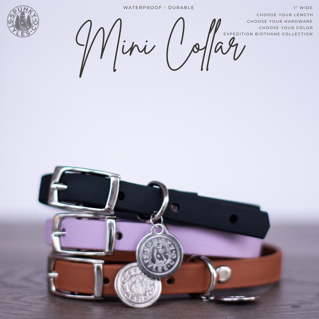 1/2 Wide Mini Biothane Collar Waterproof Durable Dog Collar Mess ...