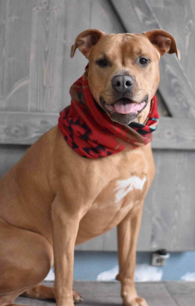 Devils Paw Dog Bandana Infinity Aztec Red & Black Bohemian - Etsy