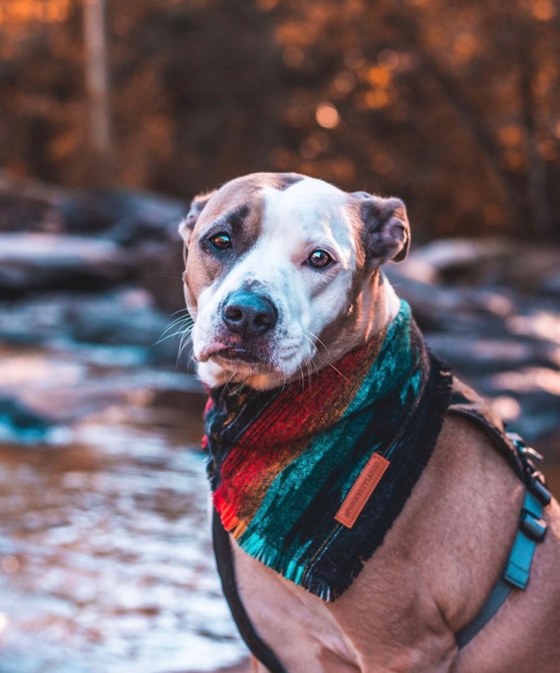 Navajo Dog Bandana Aztec Red & Black Bohemian Woven Tribal - Etsy