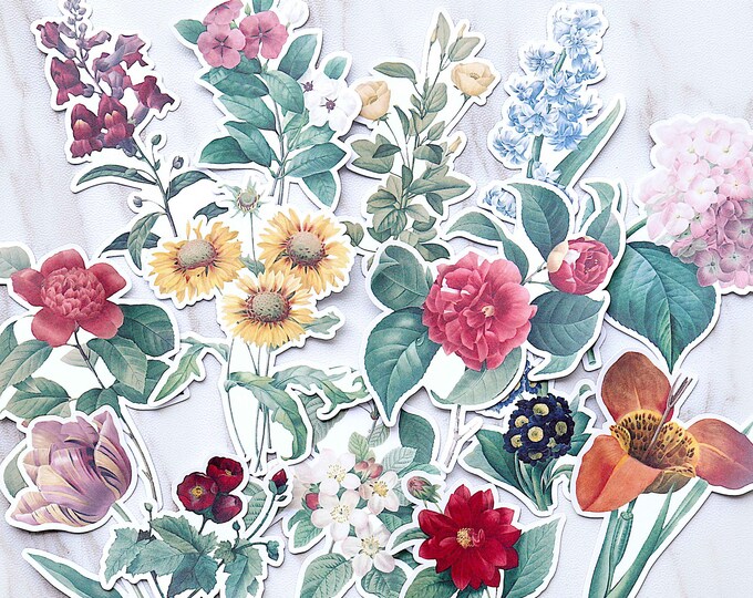 Botanical Floral Stickers/plants Planner Stickers/ Filofax - Etsy