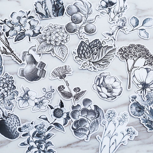 Black White Botanical Floral Stickers Set/ Cute Flowers - Etsy