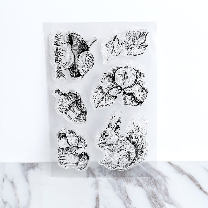 Squirrel Stamp - Etsy
