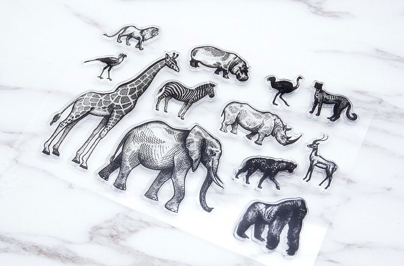 Animal Kingdom Stamp, Zoo Clear Transparent Stamp, Lions Animals Stamp ...