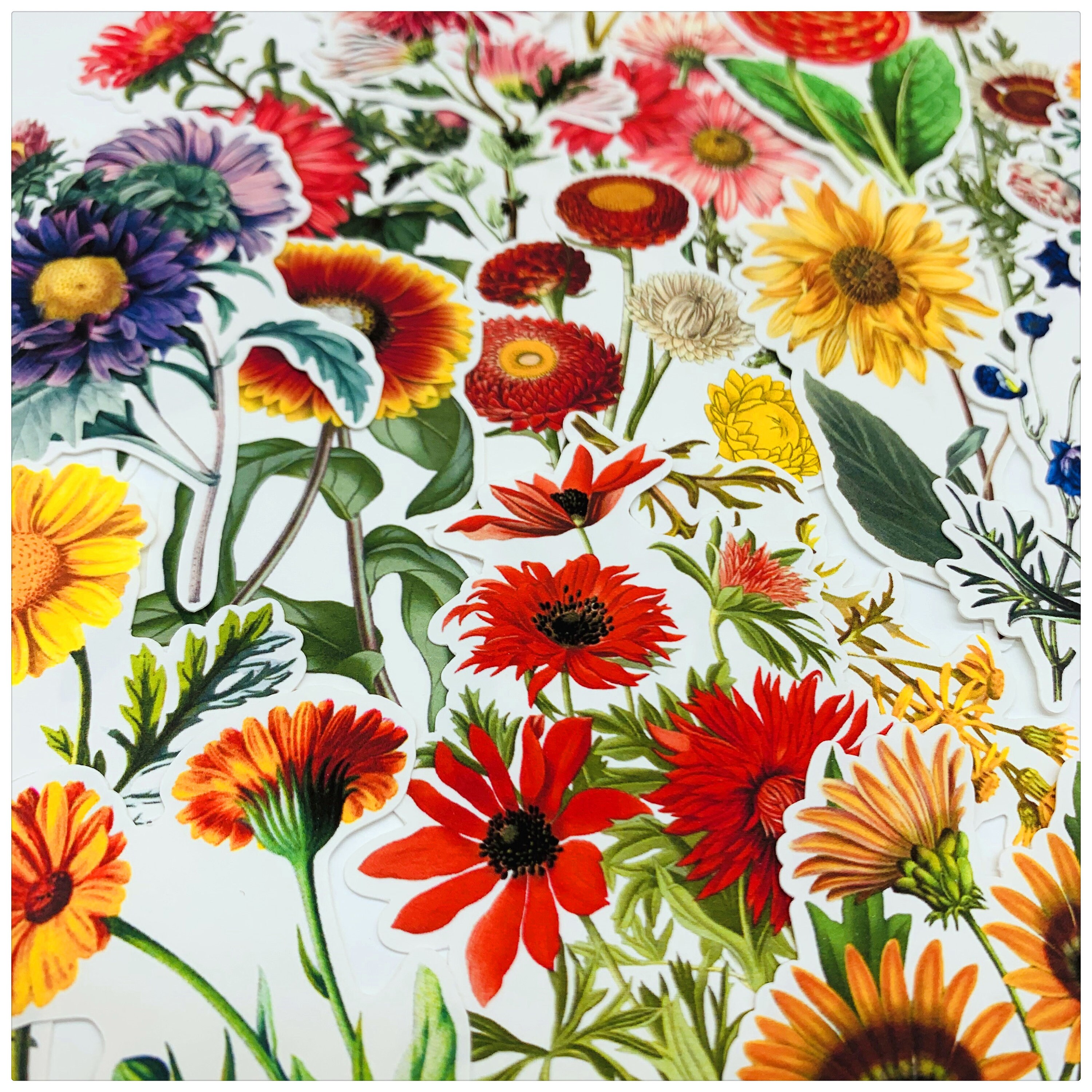 Retro Daisy Stickers /flower Sticker / Planner Stickers/ Flake - Etsy