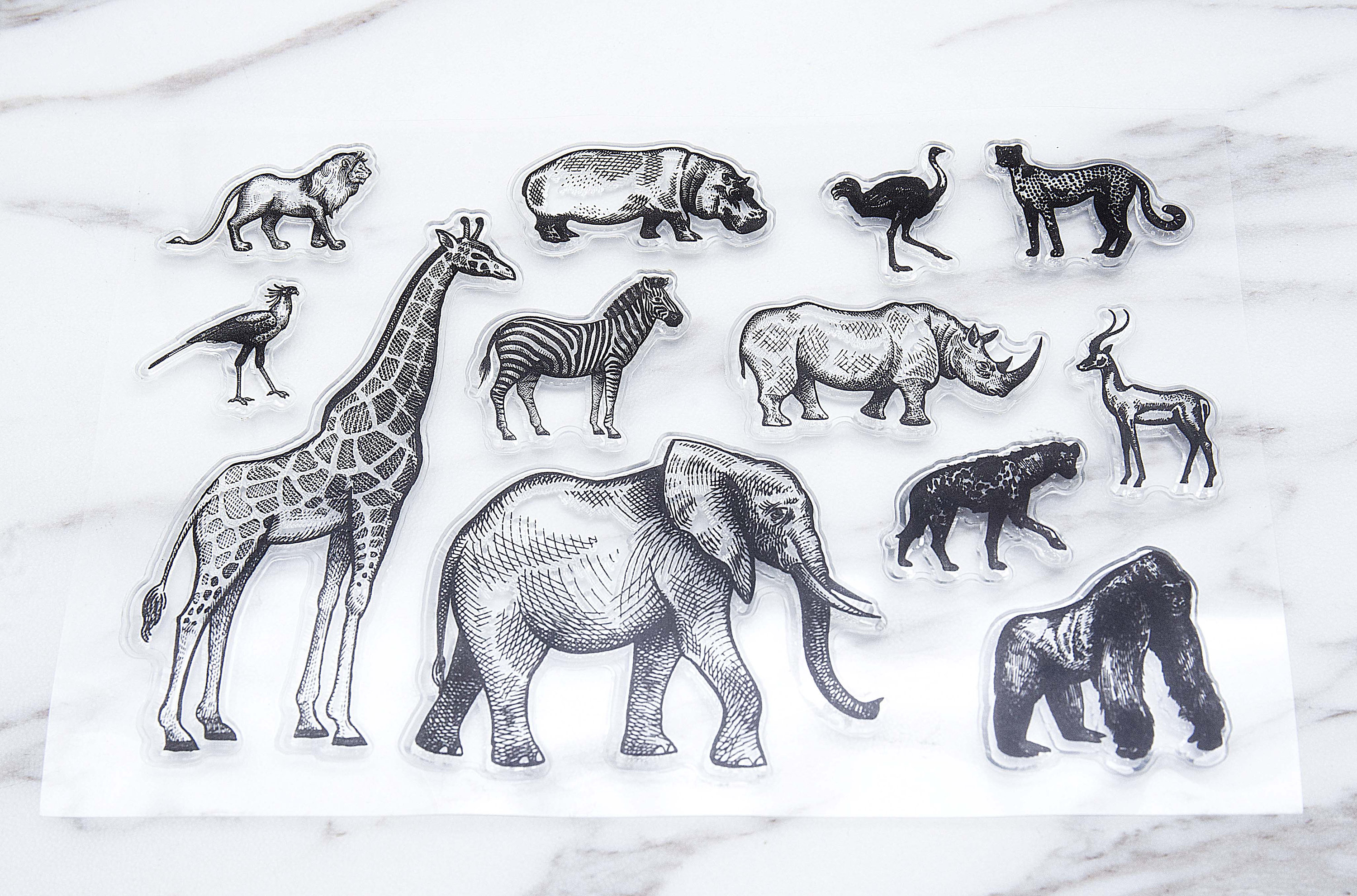 Animal Kingdom Stamp, Zoo Clear Transparent Stamp, Lions Animals Stamp ...