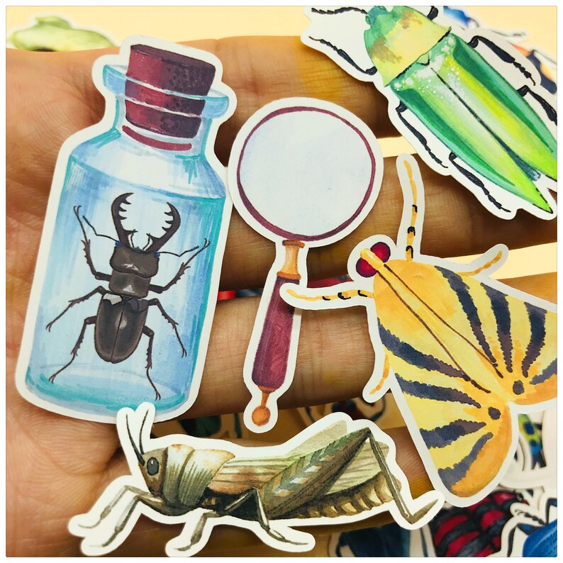 36pcs Beetles Stickers Set/insect Journal Stickers/ Filofax - Etsy