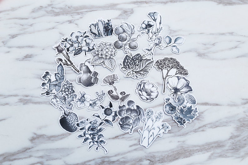 Black White Botanical Floral Stickers Set/ Cute Flowers - Etsy