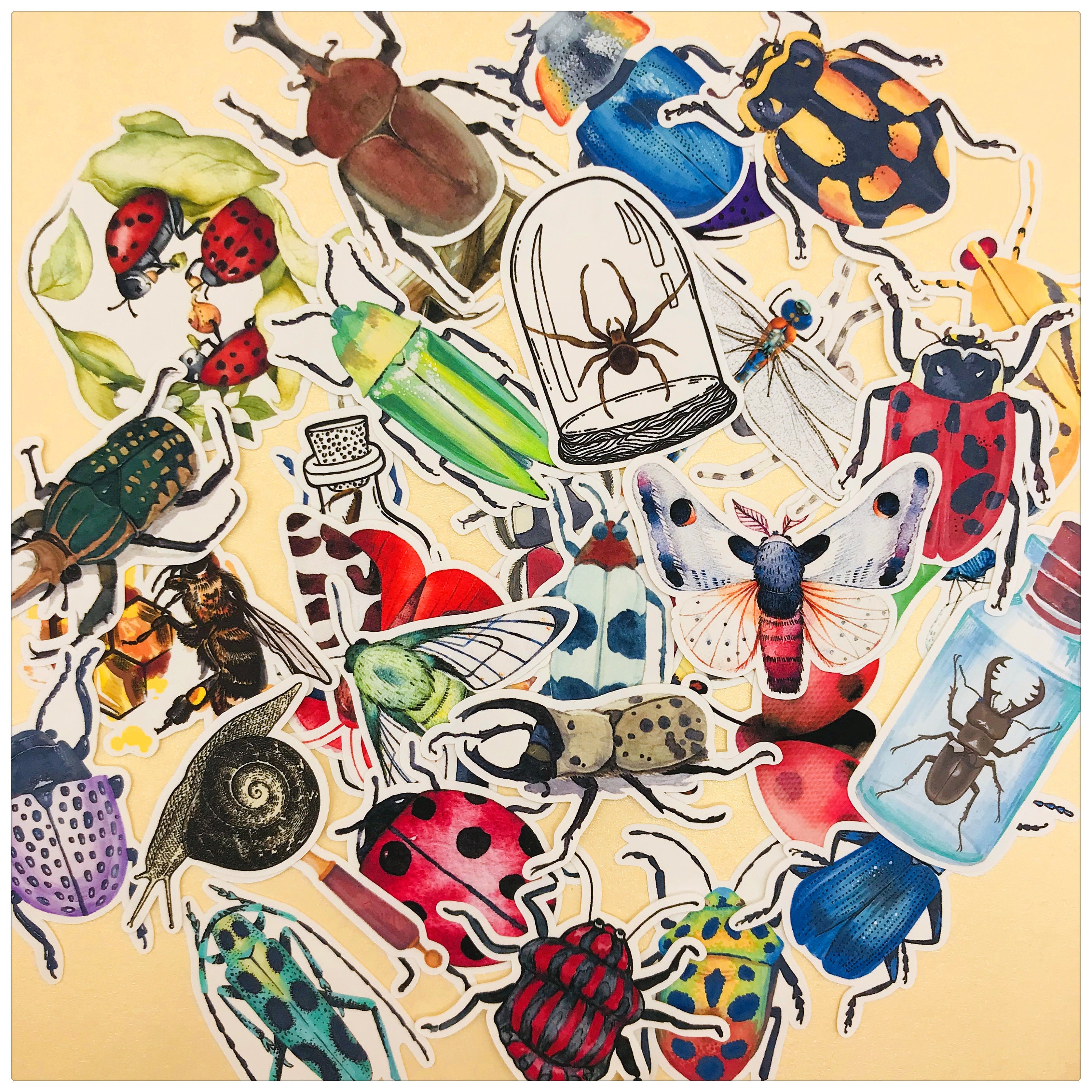 36pcs Beetles Stickers Set/insect Journal Stickers/ Filofax | Etsy