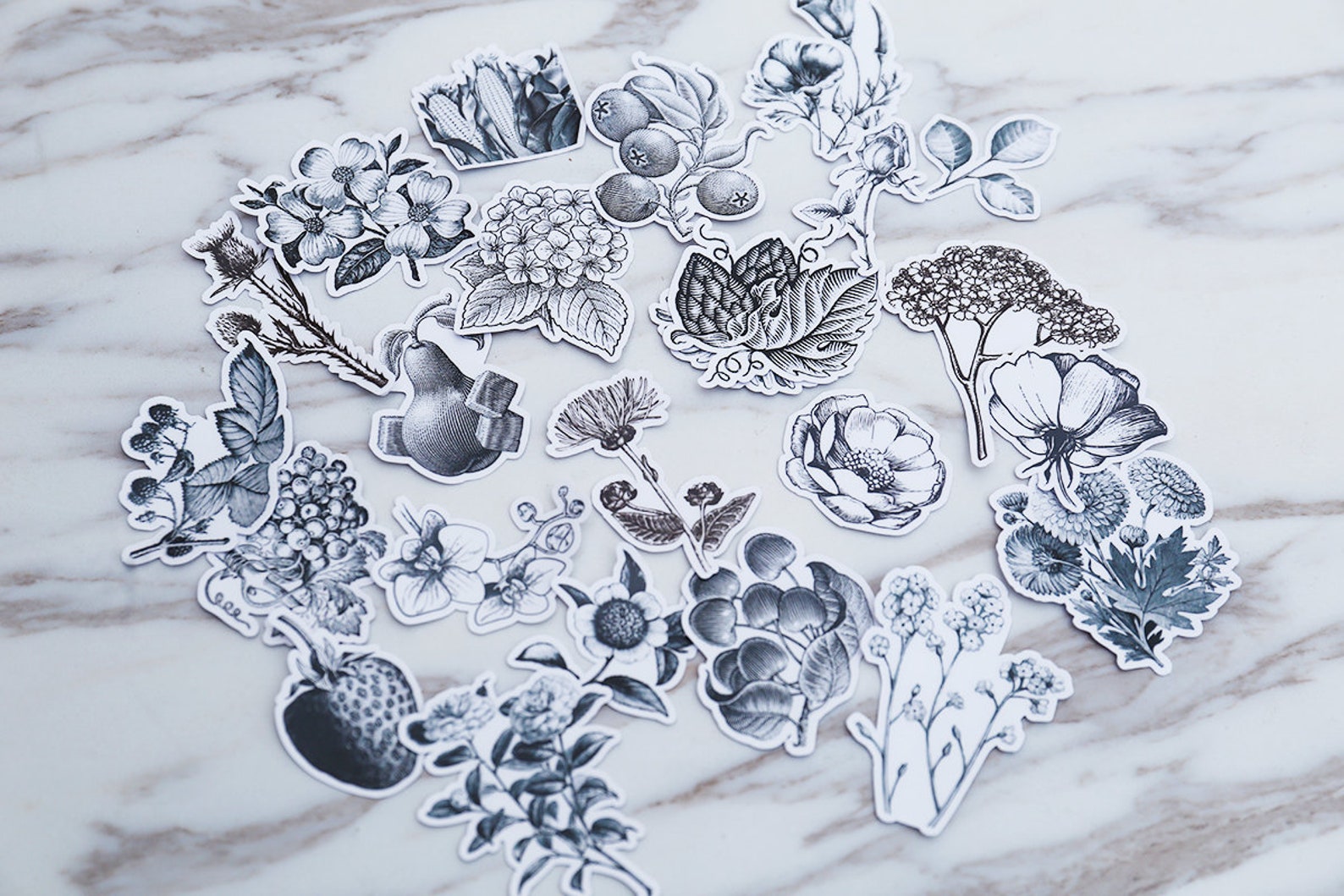 Black White Botanical Floral Stickers Set/ Cute Flowers - Etsy
