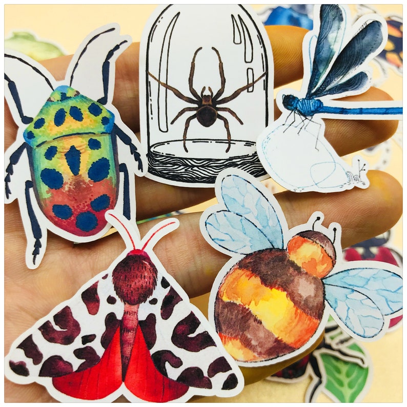 36pcs Beetles Stickers Set/insect Journal Stickers/ Filofax - Etsy