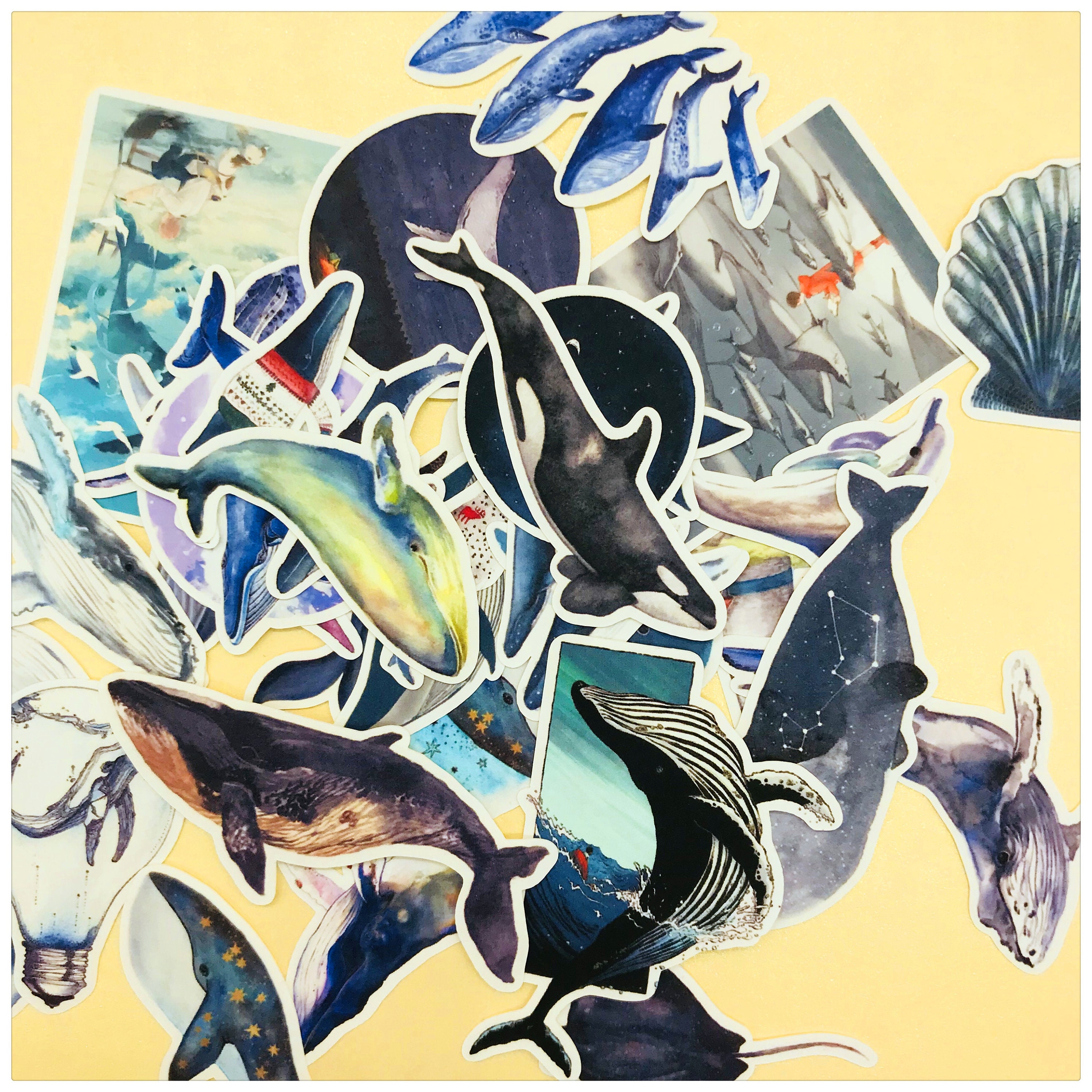 Whales Stickers / Blue Whale Stickers/ Filofax Stickers/ocean - Etsy