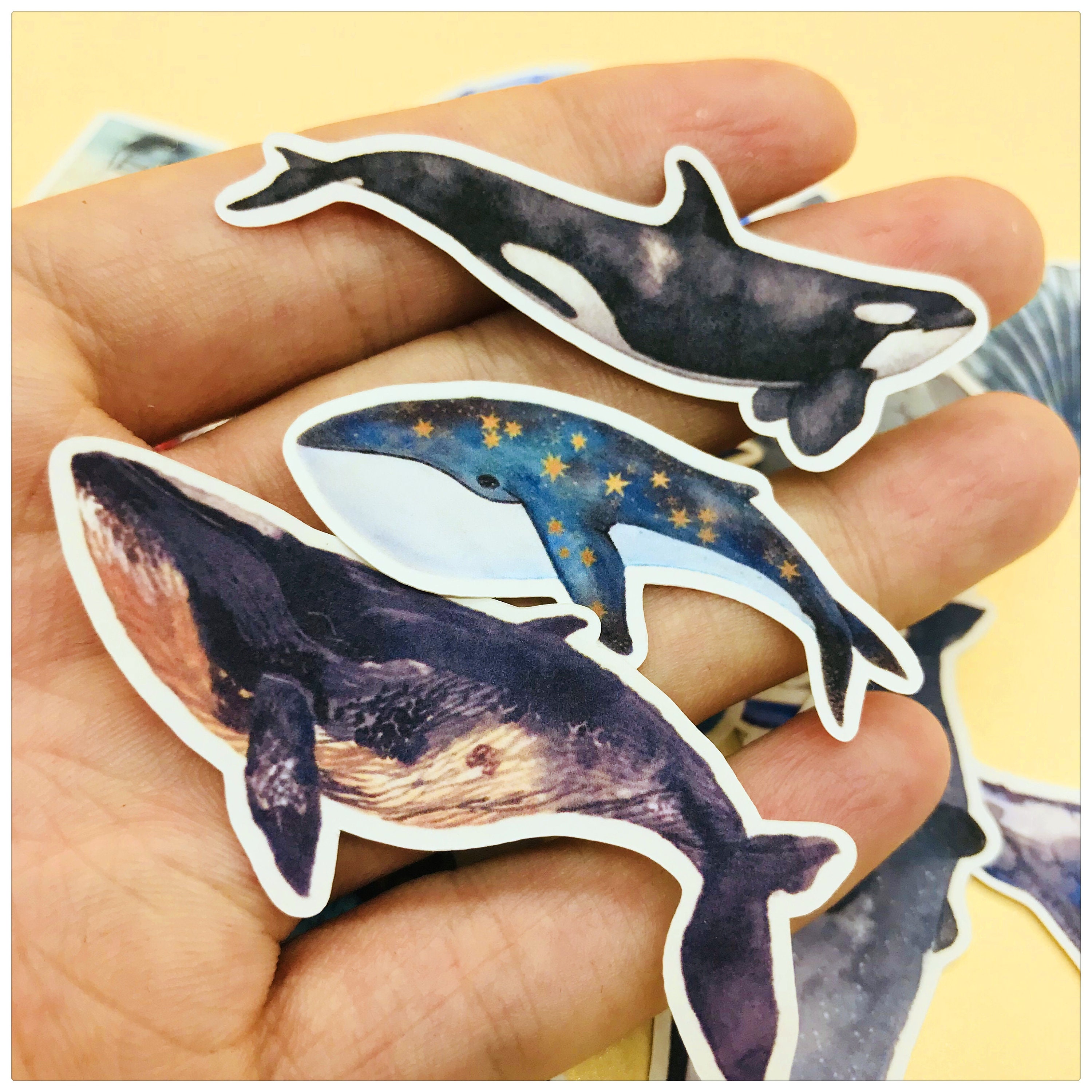 Whales Stickers / Blue Whale Stickers/ Filofax Stickers/ocean - Etsy