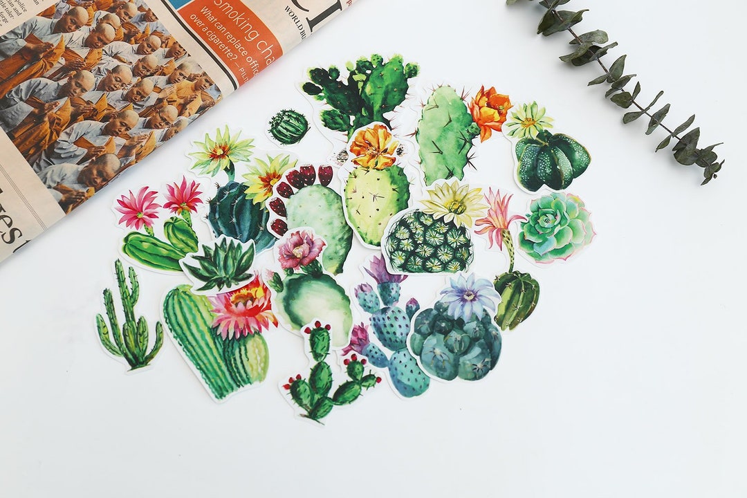 Cactus Stickers Set/ Cactus and Flowers Planner Stickers/ Filofax ...