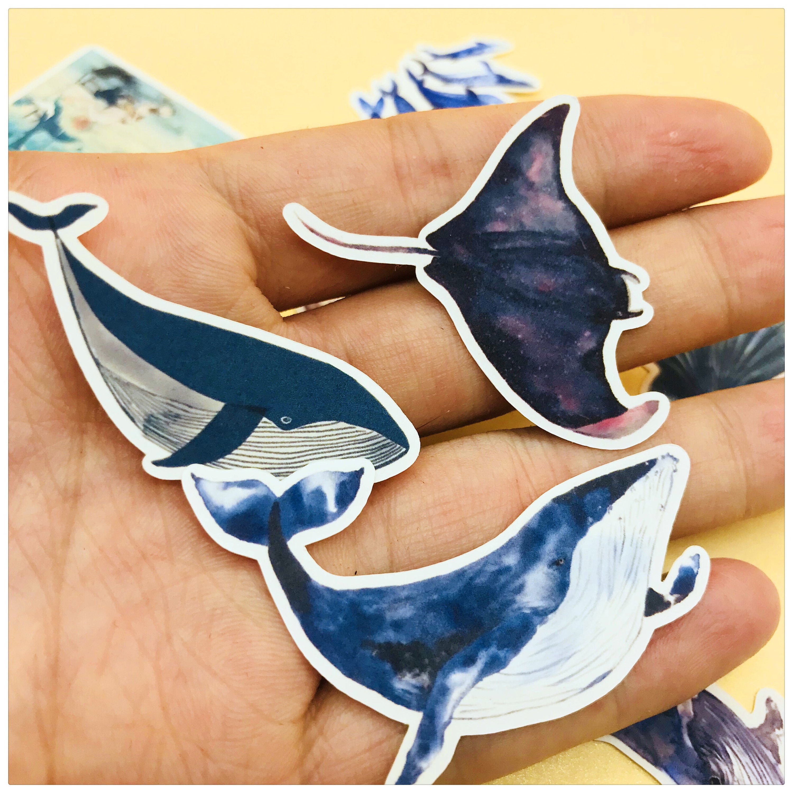 Whales Stickers / Blue Whale Stickers/ Filofax Stickers/ocean - Etsy