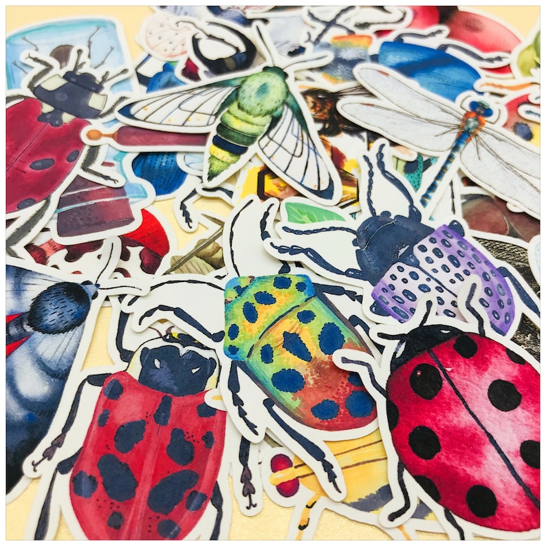 36pcs Beetles Stickers Set/insect Journal Stickers/ Filofax - Etsy