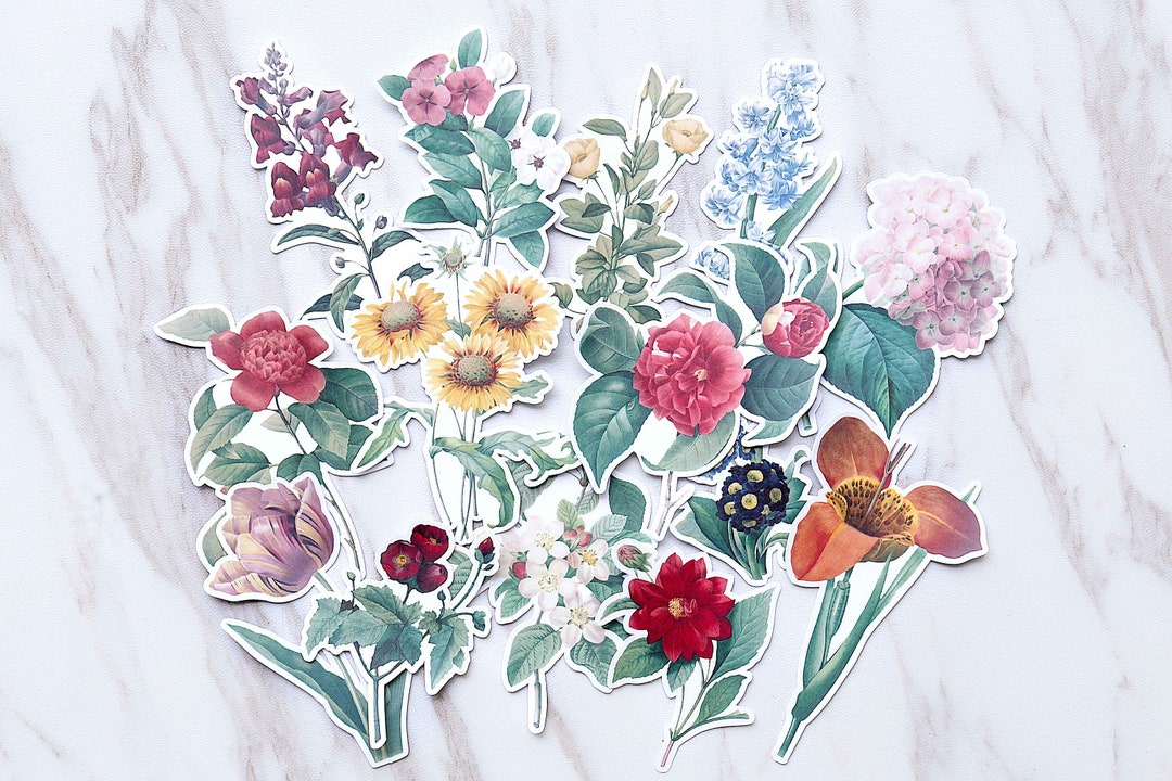 Sunflowers Stickers Set/beautiful Flowers Stickers/plants and Flowers ...