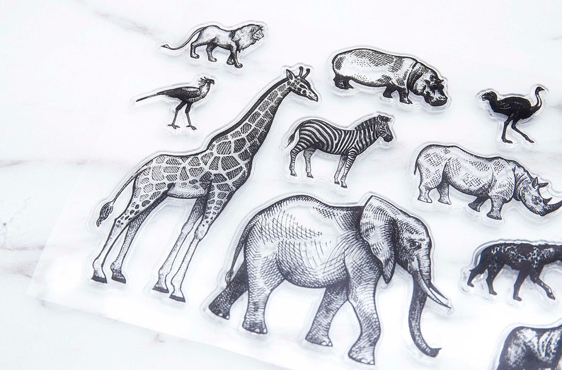 Animal Kingdom Stamp, Zoo Clear Transparent Stamp, Lions Animals Stamp ...