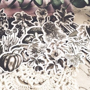 24pcs Black and White Flower Stickers / Plant Labeling Sticker ...