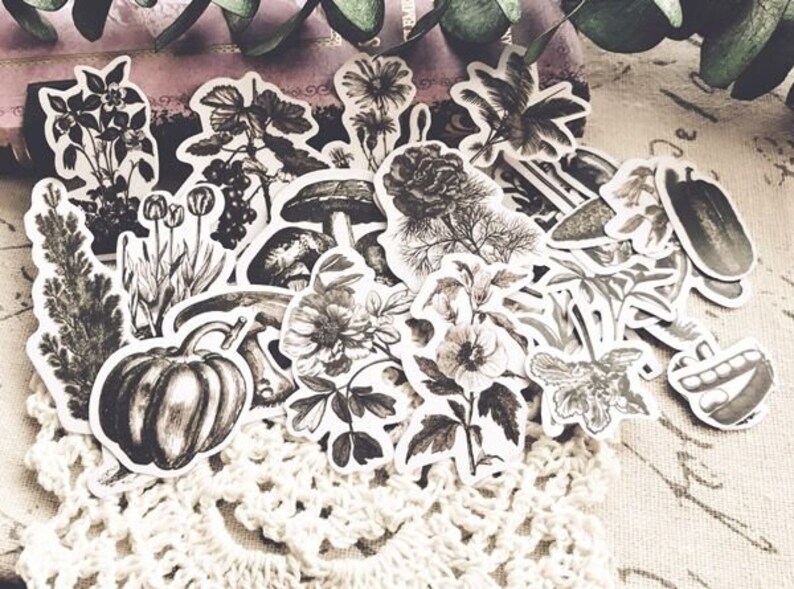 24pcs Black and White Flower Stickers / Plant Labeling Sticker - Etsy