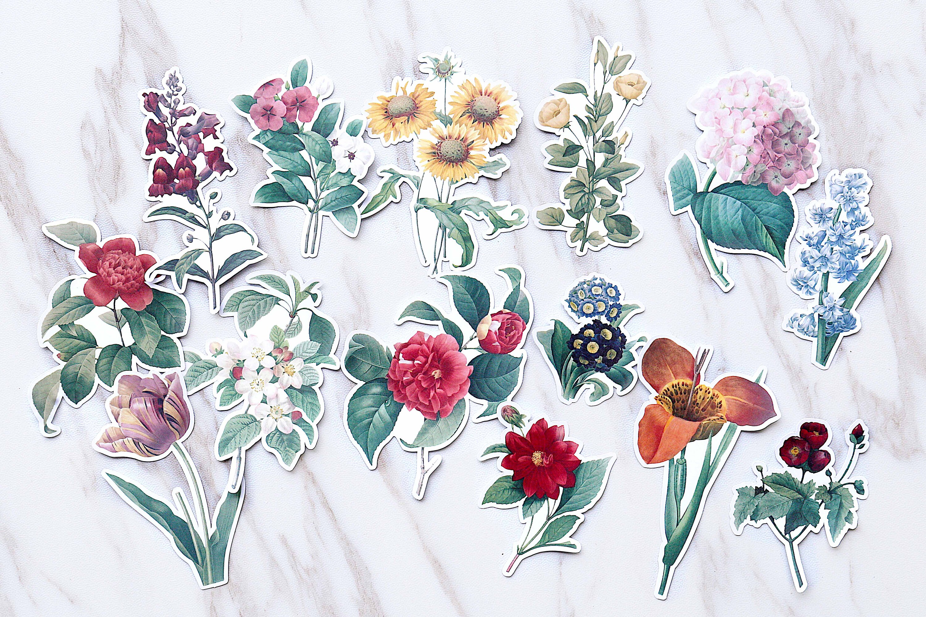 Sunflowers Stickers Set/beautiful Flowers Stickers/plants and | Etsy