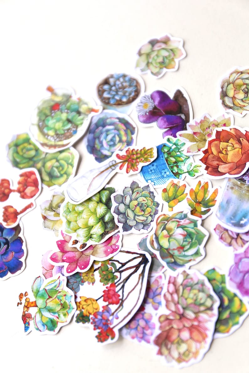 Succulent Plants Stickers Set/ Planner Stickers/ Filofax - Etsy
