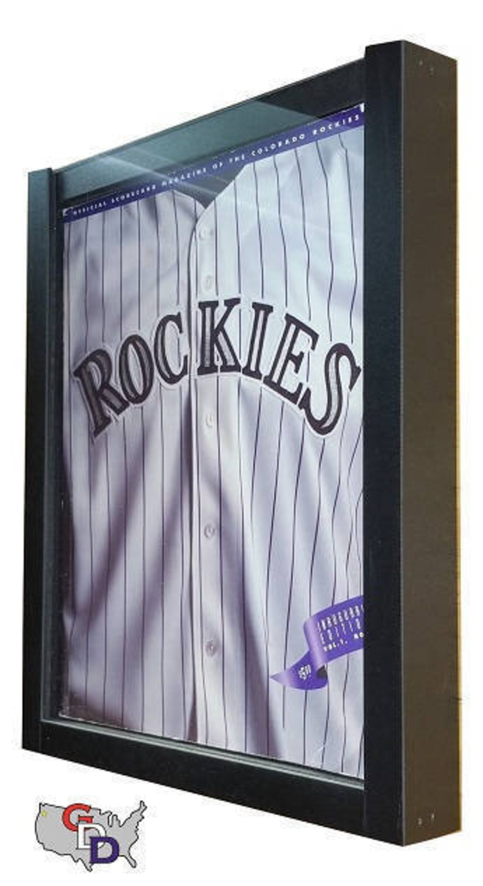 Lot of 4 Standard Sized Sports Program Display Case Frame by - Etsy