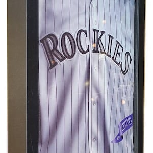 Lot of 4 Standard Sized Sports Program Display Case Frame by Gameday ...