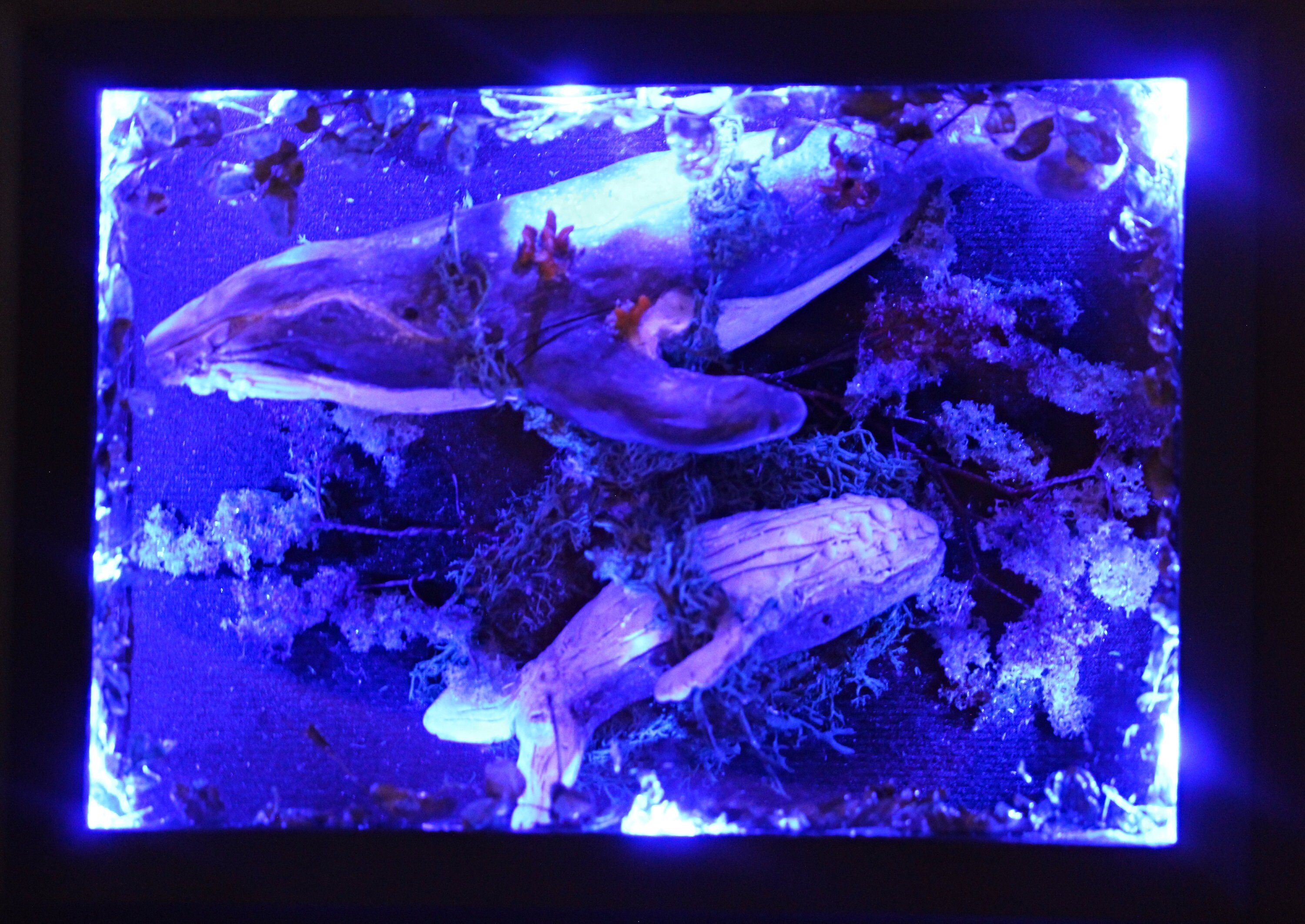 LED Lights Shadow Box Miniature Diorama: A Mother's Journey - Etsy