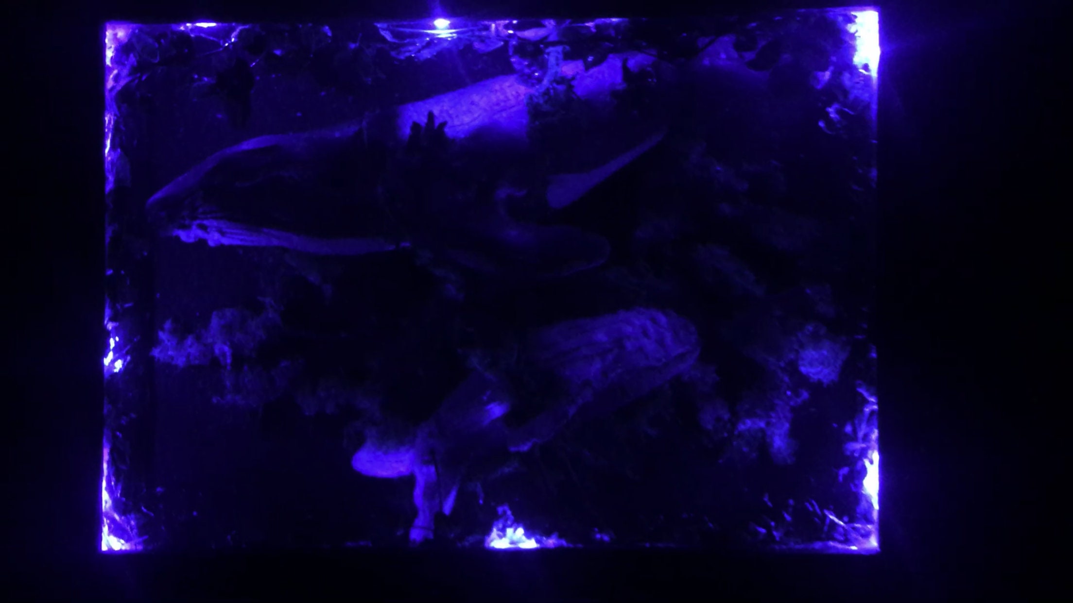 LED Lights Shadow Box Miniature Diorama: A Mother's | Etsy