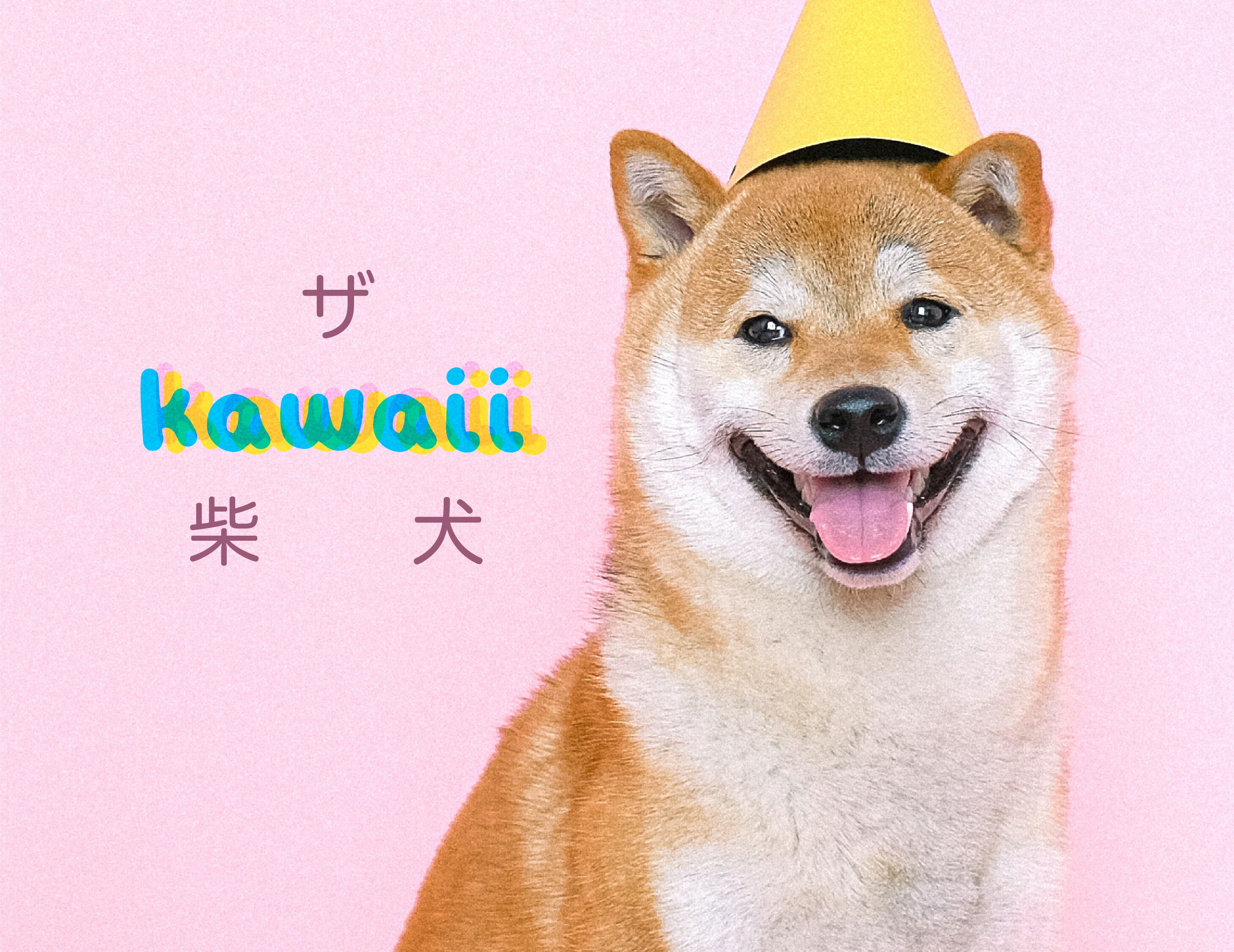 Marunote Kawaii Handwriting Type Bold OTF Cute Font Chunky Fonts ...