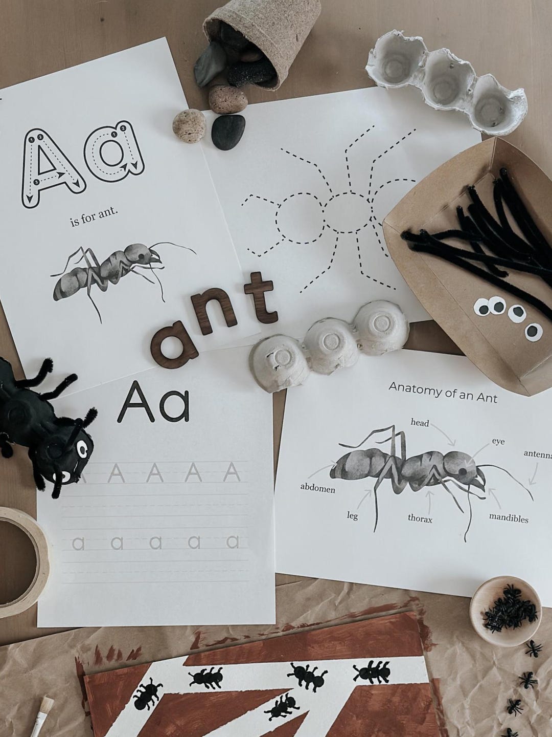 Homeschool Ant Unit Study Printable Bundle - Etsy