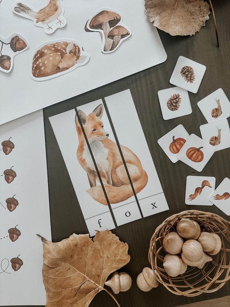 Homeschool Autumn Unit Study Printable Bundle - Etsy