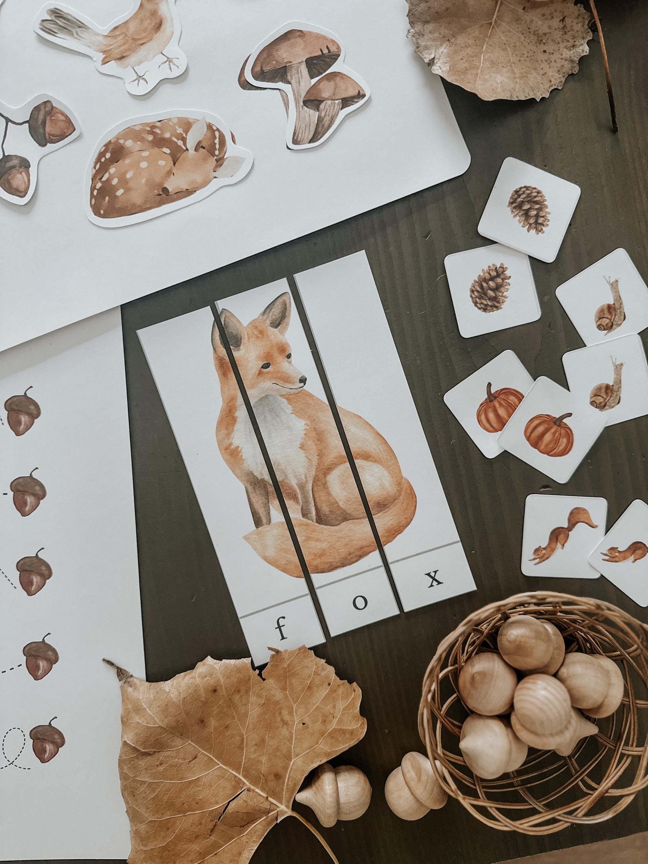 Homeschool Autumn Unit Study Printable Bundle - Etsy
