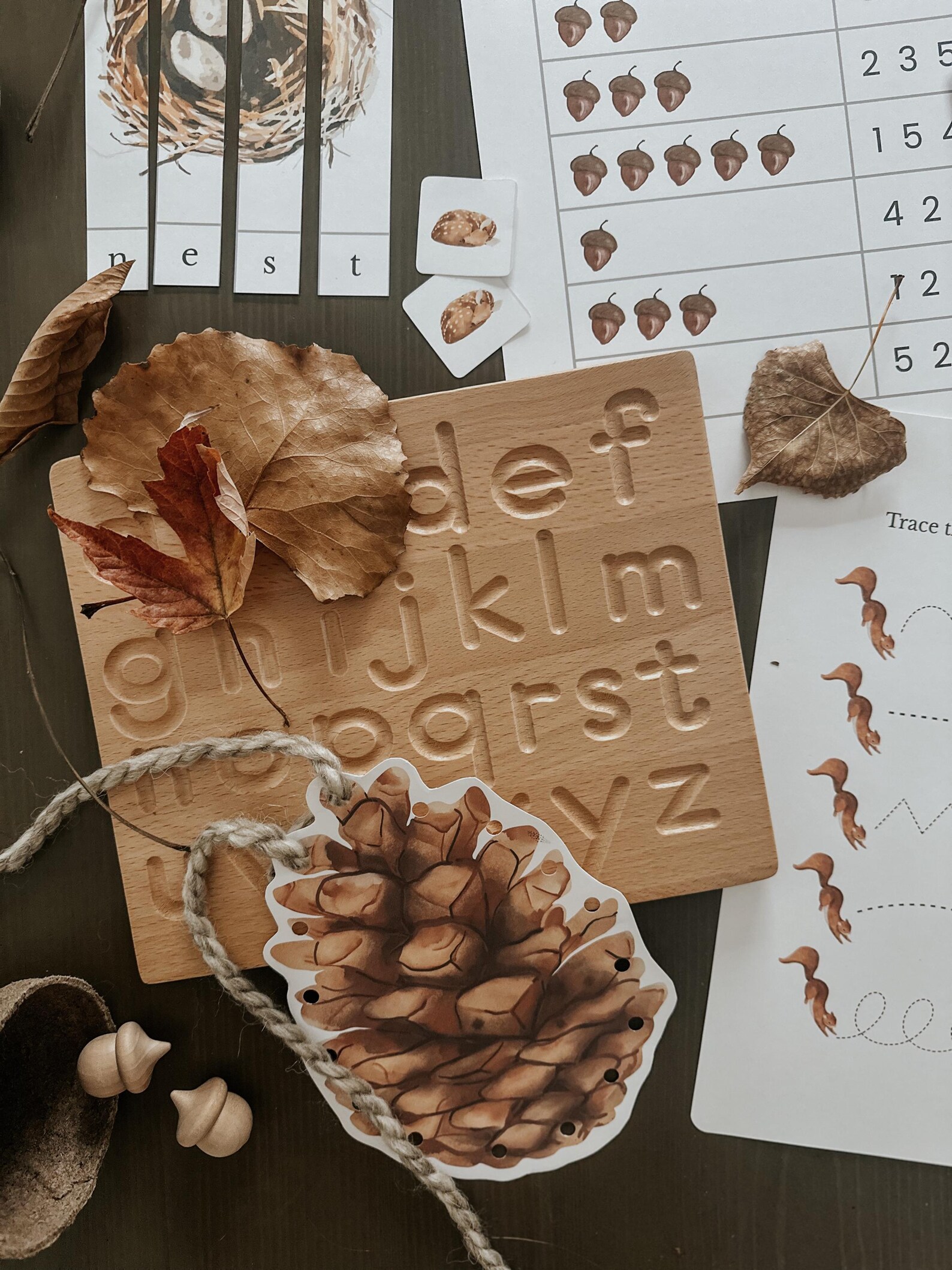 Homeschool Autumn Unit Study Printable Bundle - Etsy
